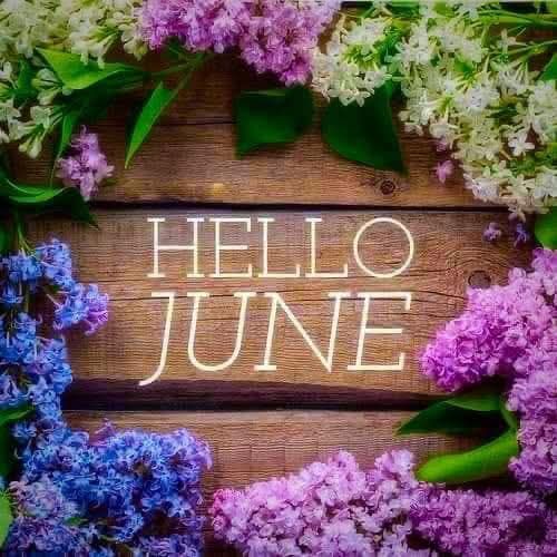 Goodbye May, Hello June: Halfway Through the Year Already?! – Cece In ...